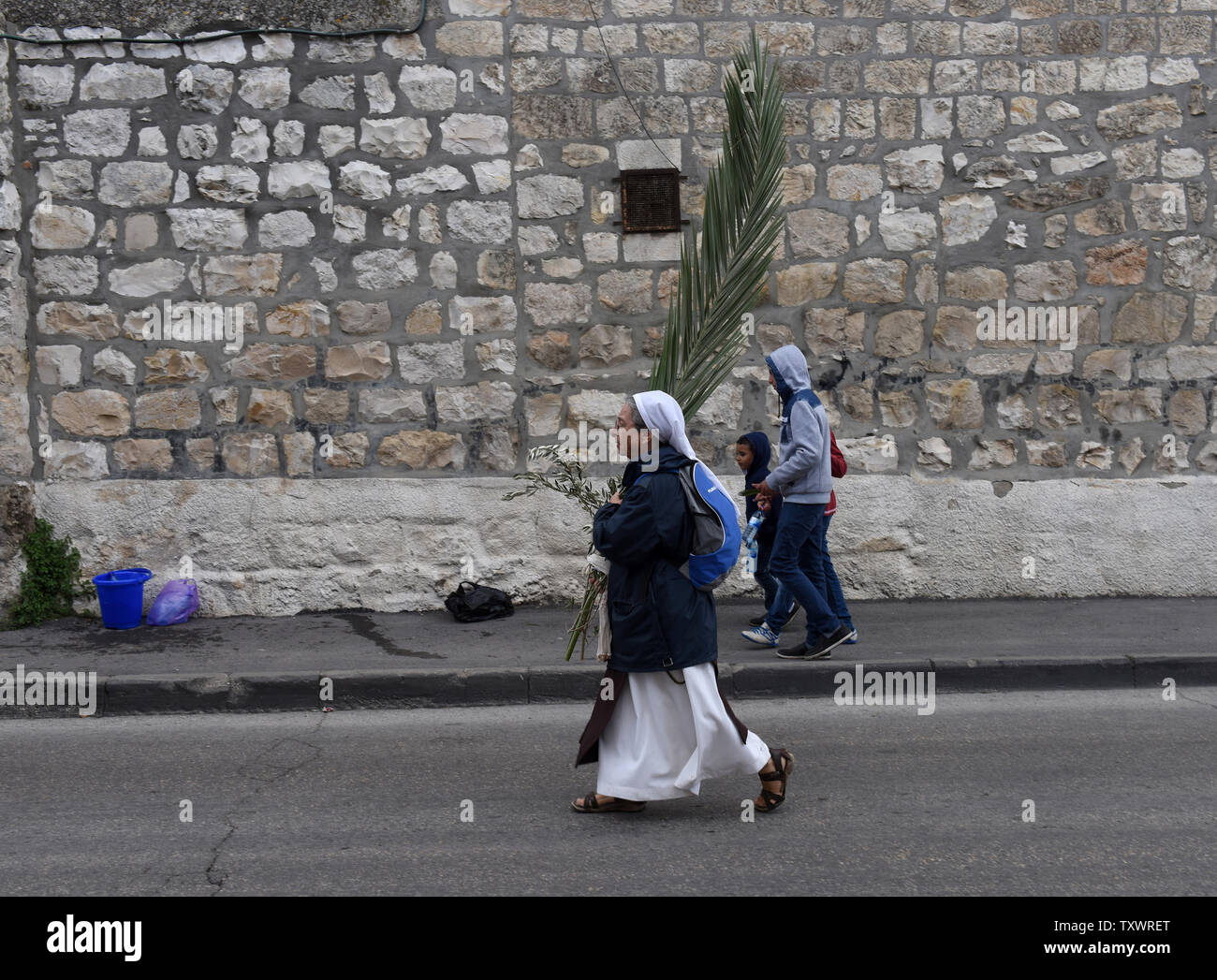 A Catholic nun carries palm and olive branches before the annual Palm ...