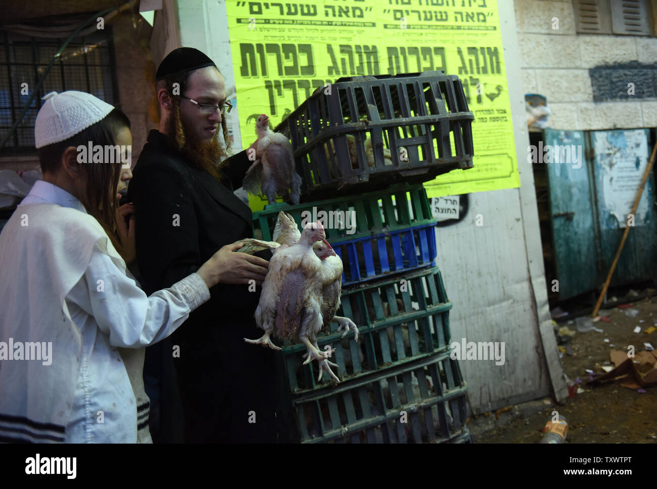 An Ultra-Orthodox Jewish man holds chickens that will be used to ...