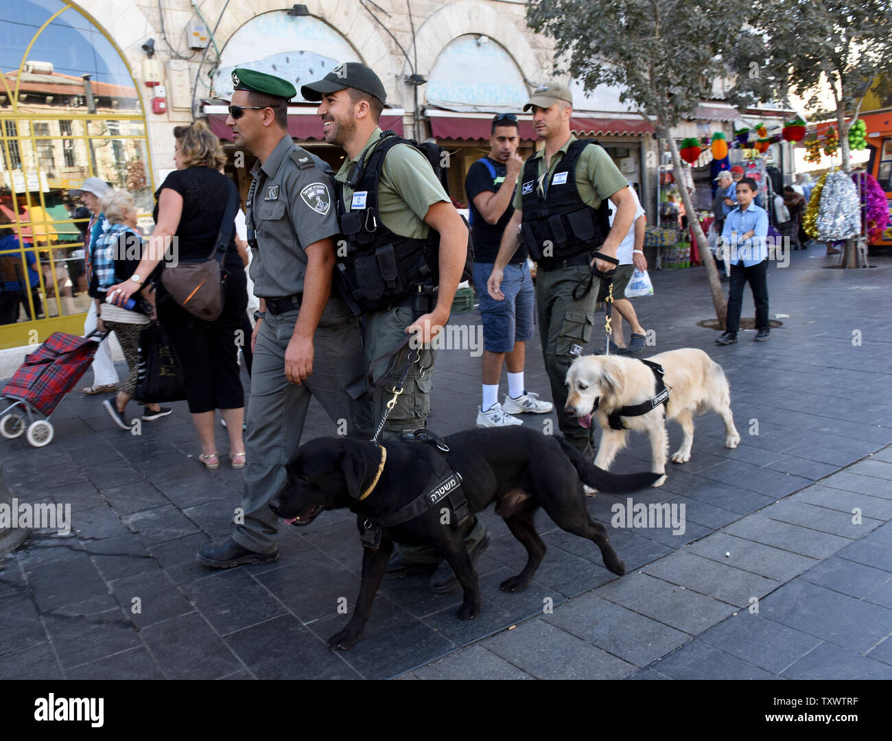 Israeli border police patrol with dogs in the Mahane Yehuda Market in ...