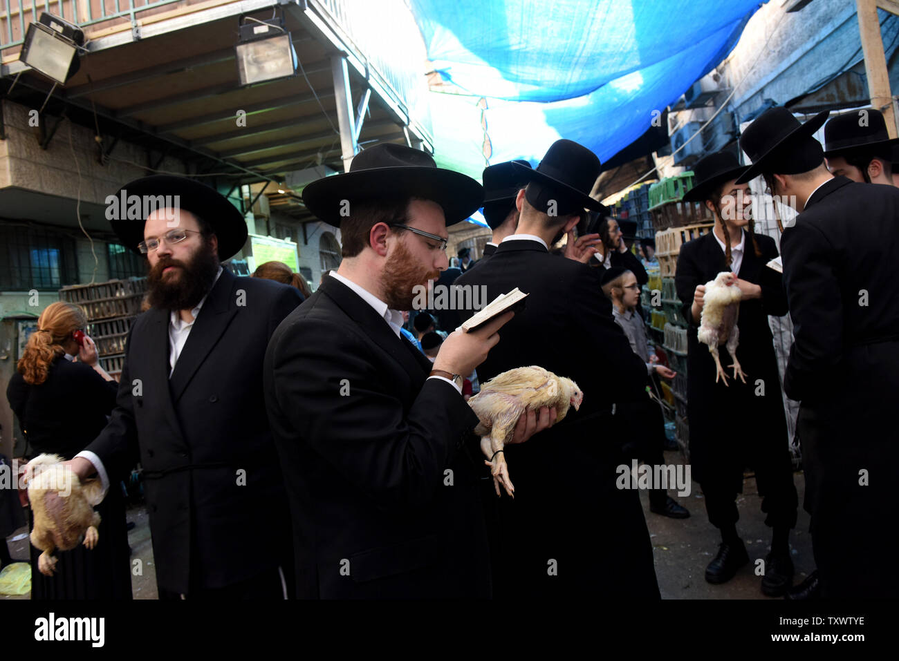 An Ultra-Orthodox Jewish man holds a chicken as he performs the ...