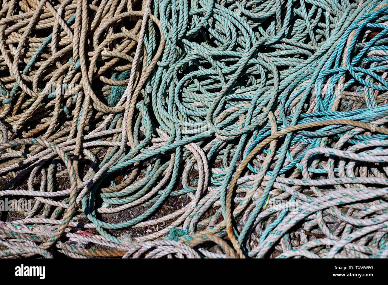 Rope worm hi-res stock photography and images - Alamy