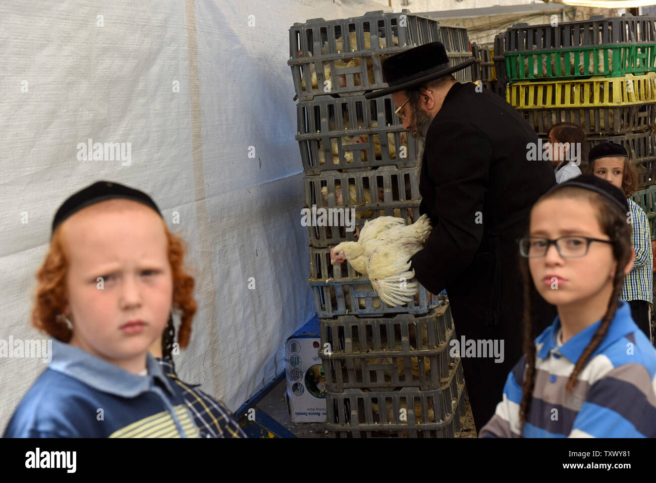 An Ultra-Orthodox Jew prays with a chicken as part of the Kaparot ...