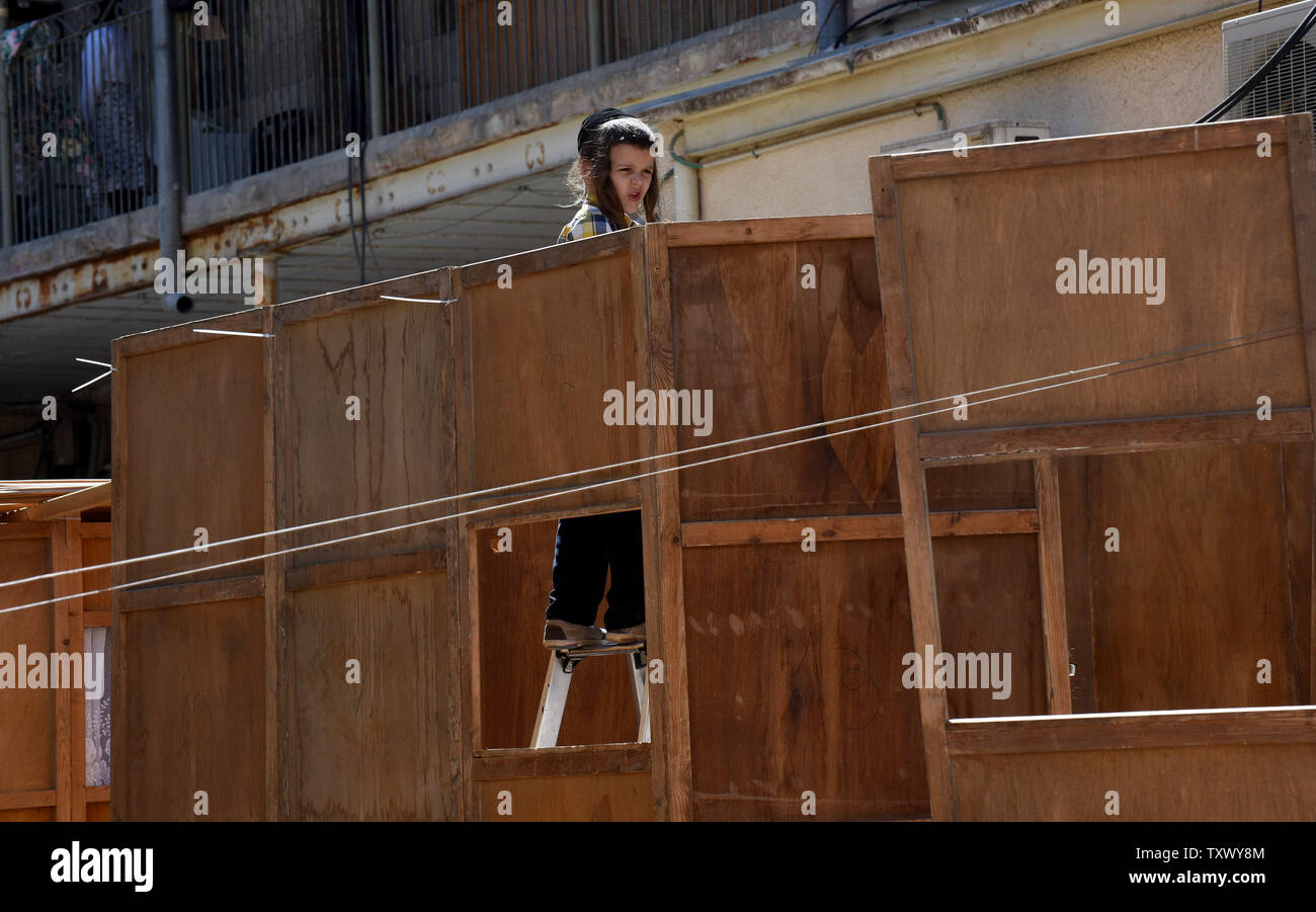 An Ultra-Orthodox Jewish boy stands on a ladder inside a sukkah, a ...