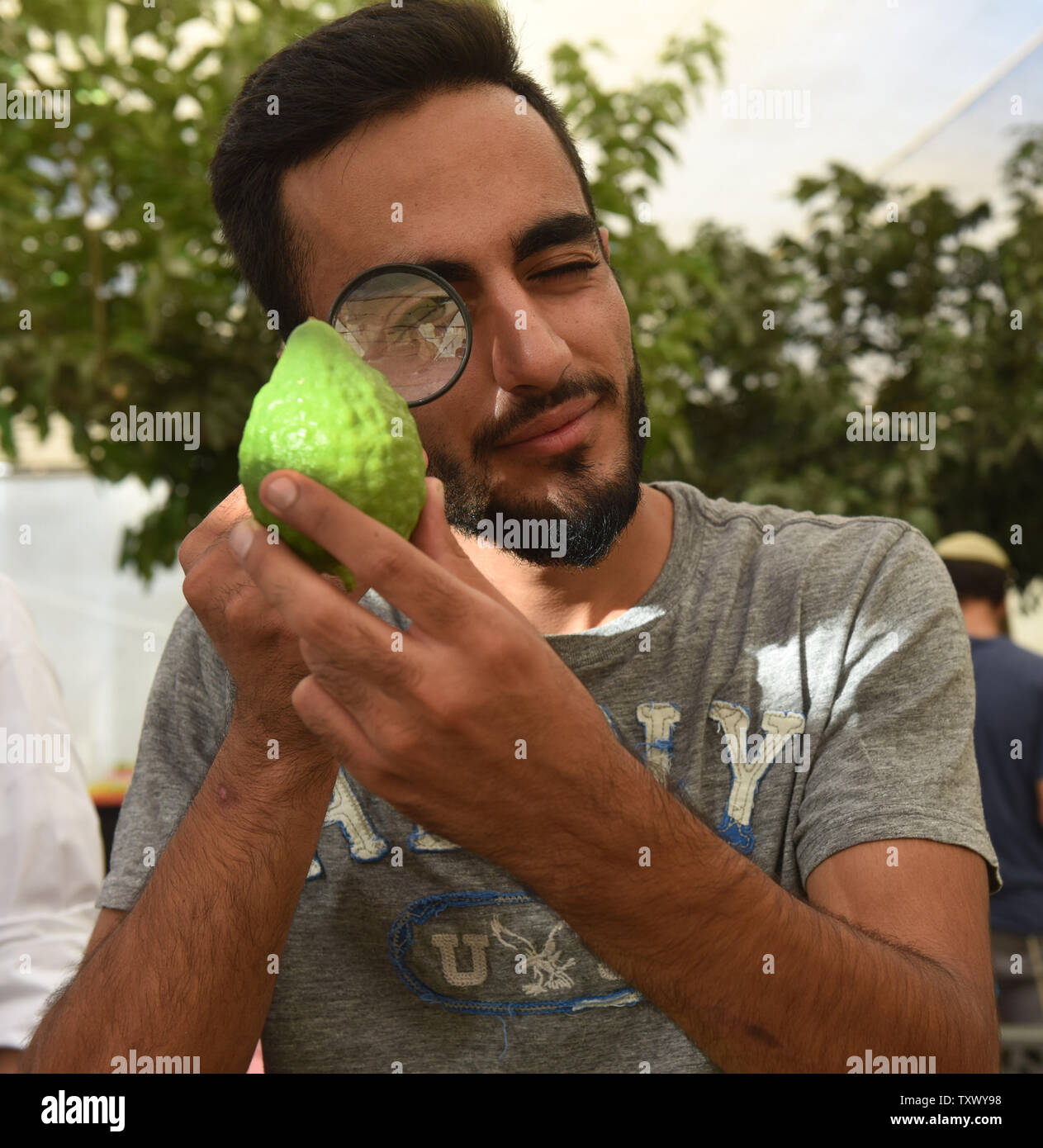 An Israeli examines an etrog, a citron, with a magnifying glass for the ...