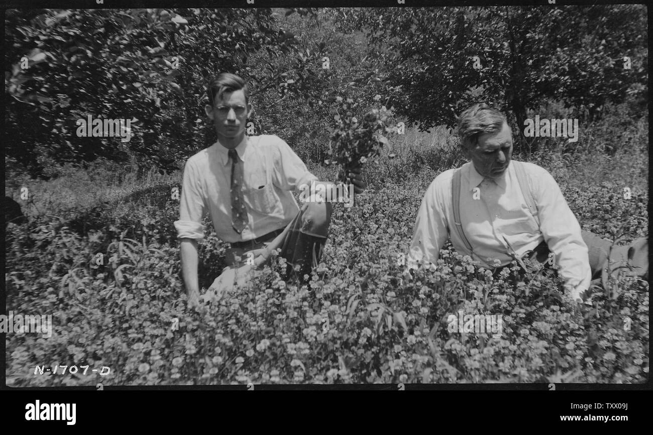 John clover hi-res stock photography and images - Alamy