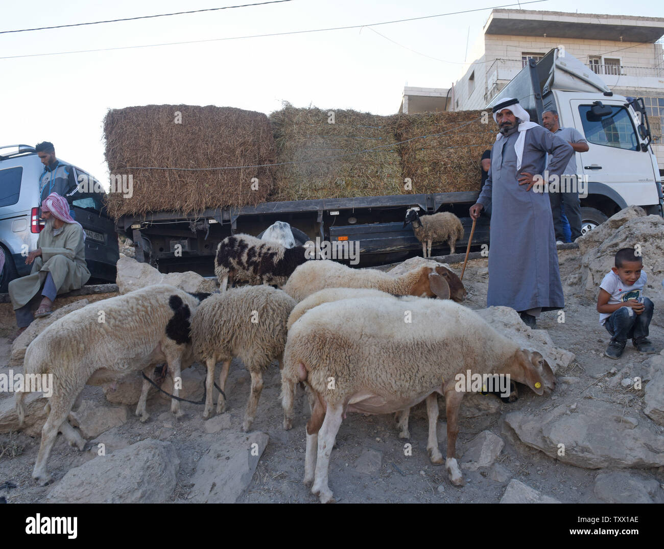 Abraham Son Ram High Resolution Stock Photography and Images - Alamy