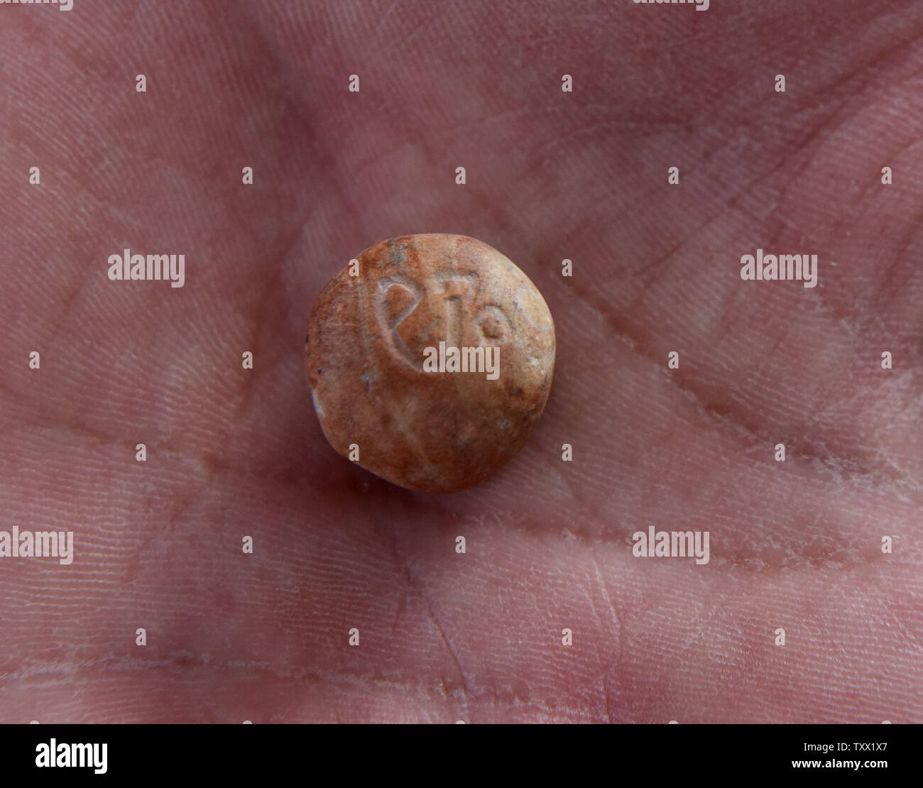 Ilan Shilimaev, head archaeologist of The Ancient Jerusalem Sifting ...