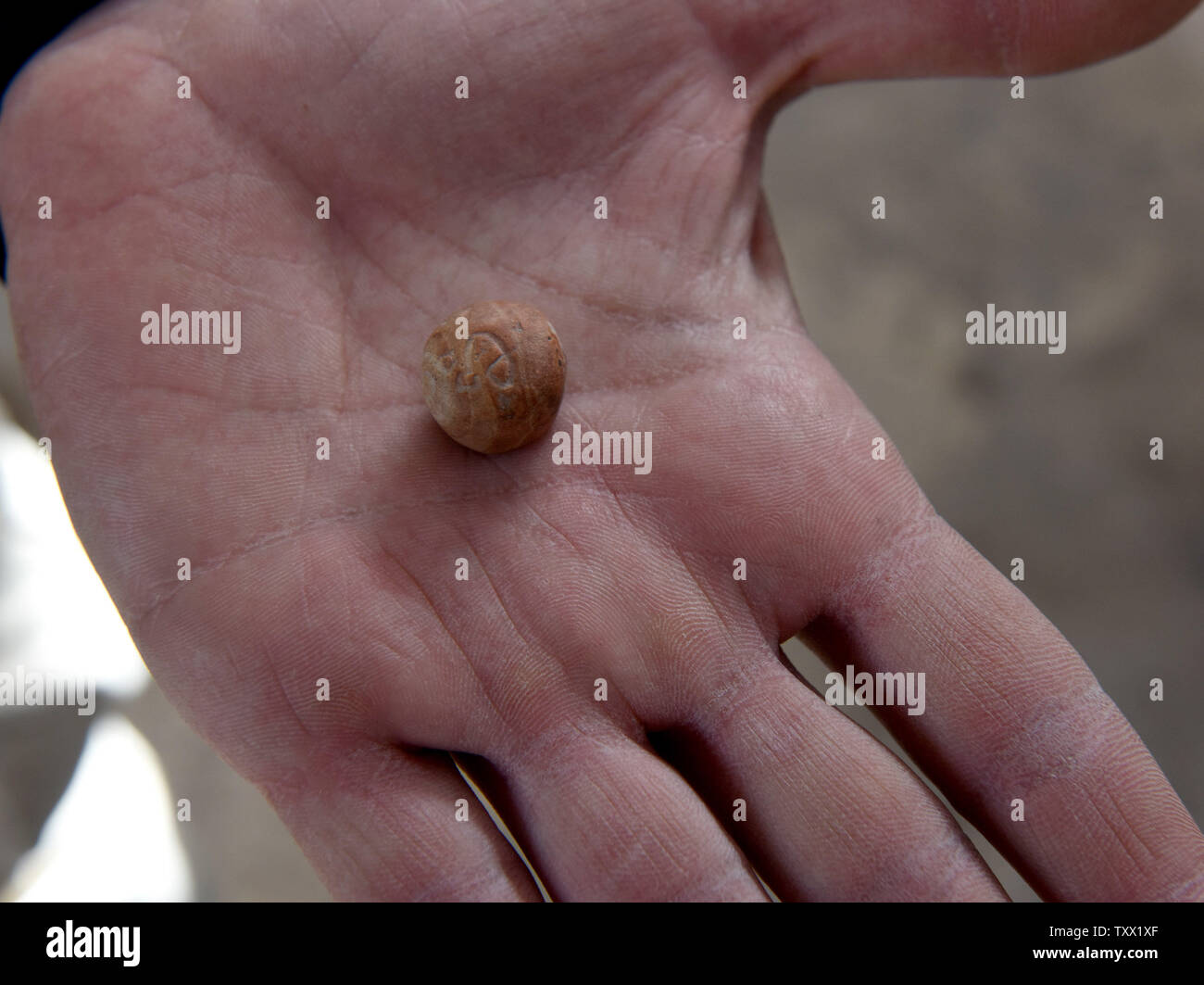 Ilan Shilimaev, head archaeologist of The Ancient Jerusalem Sifting ...