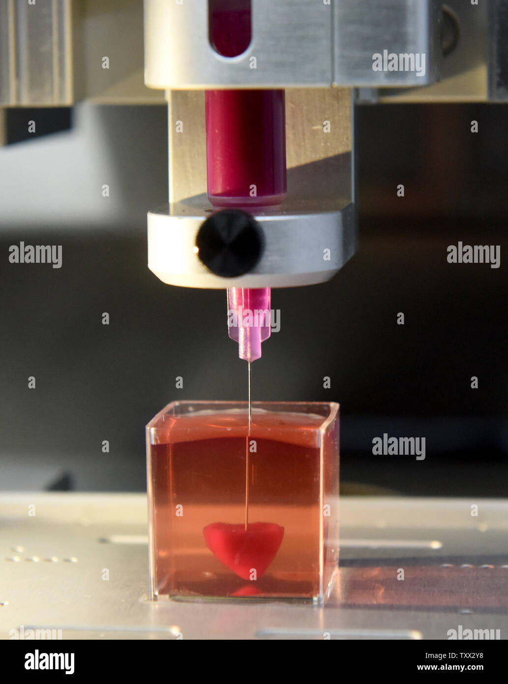 A 3D printer prints, what Israeli scientist Professor Tal Dvir says, is ...