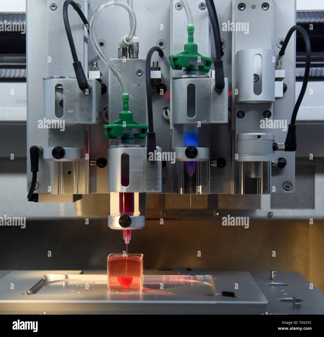 A 3D printer prints, what Israeli scientist Professor Tal Dvir says, is ...