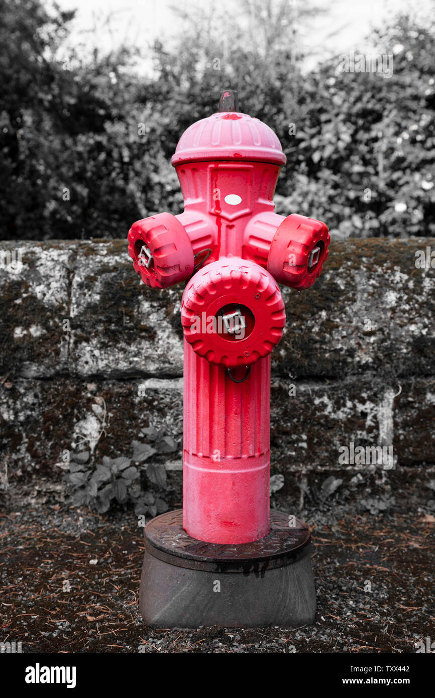 Red fire hydrant in town for firefighters Stock Photo - Alamy