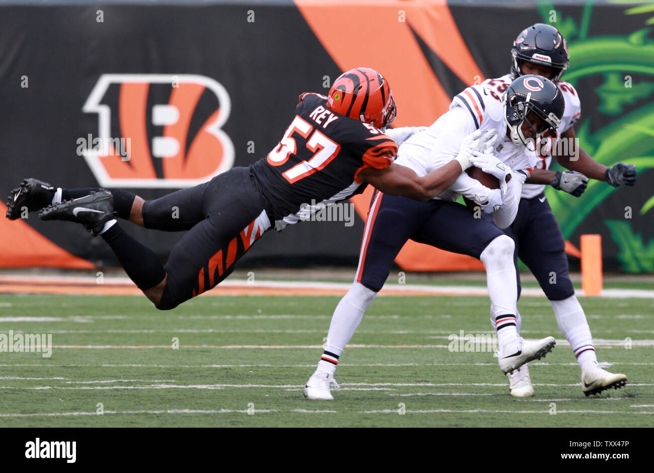 Rey wright hi-res stock photography and images - Alamy
