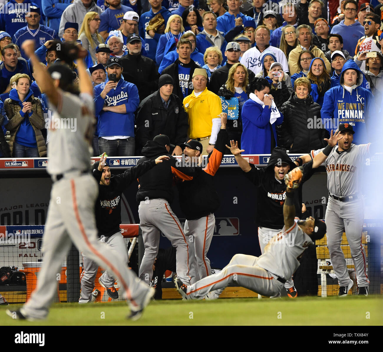 Baseball fan crying hi-res stock photography and images - Alamy