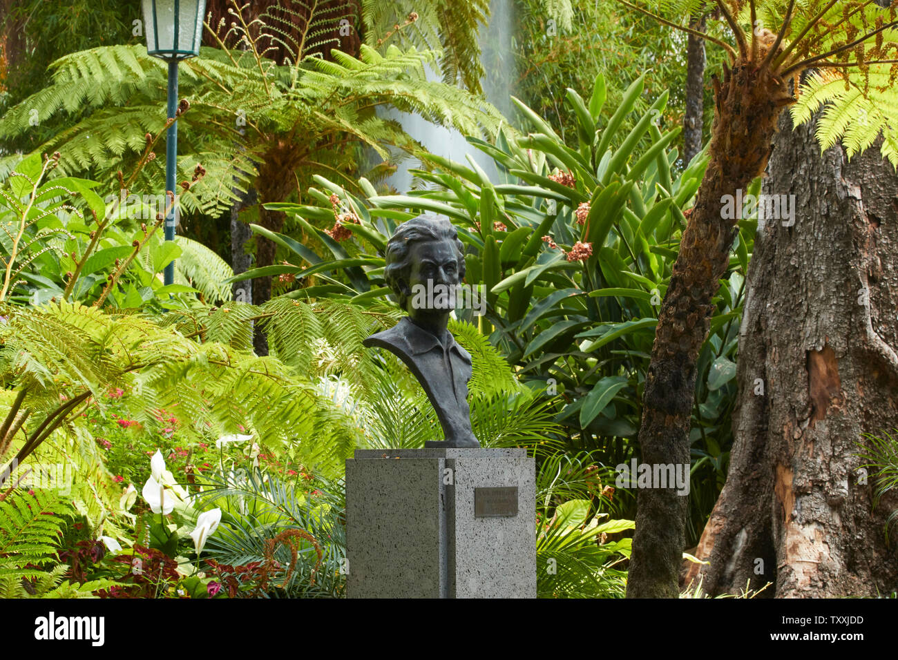 Funchal Municiple gardens natural scenery, funchal, Madeira, Portugal ...