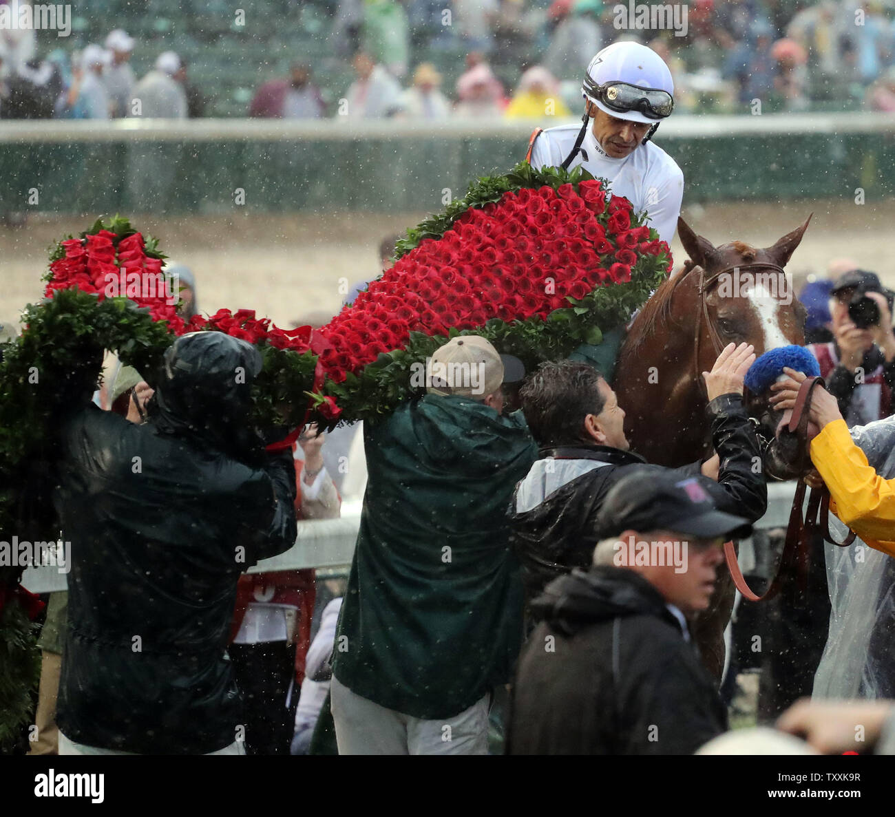 Kentucky derby roses hi-res stock photography and images - Alamy