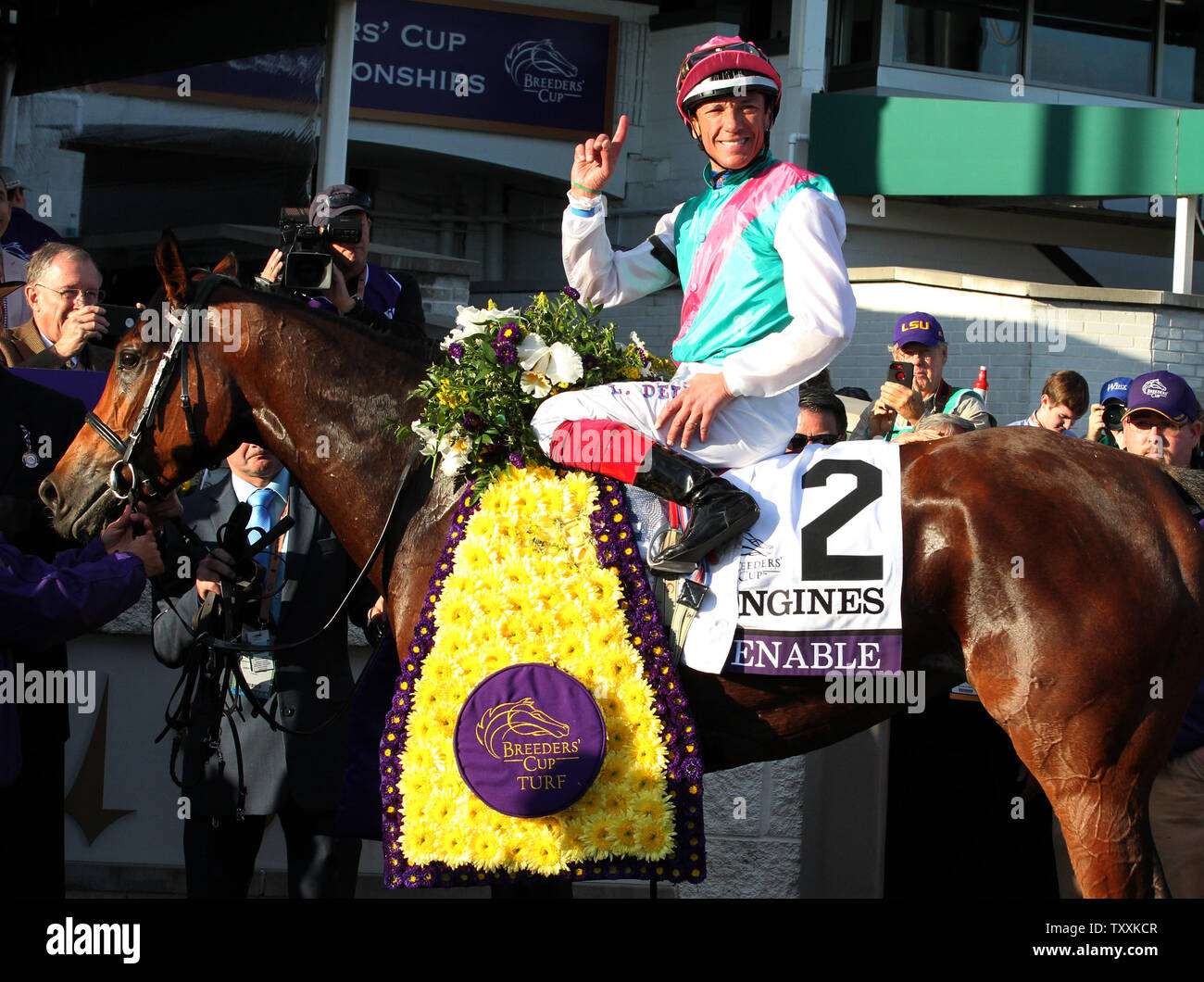 Enable race horse hi-res stock photography and images - Alamy