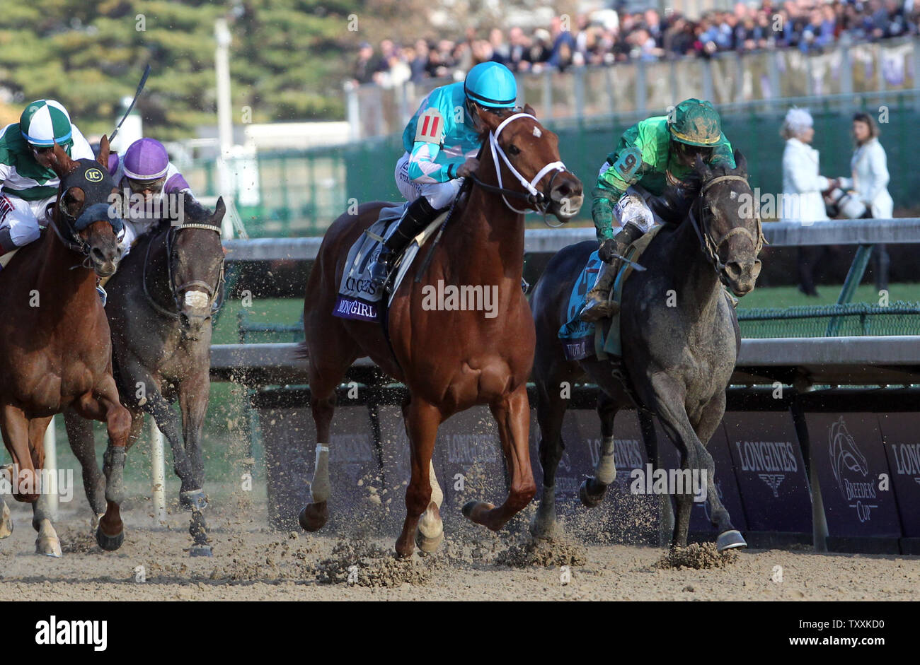 Geroux horse hi-res stock photography and images - Alamy