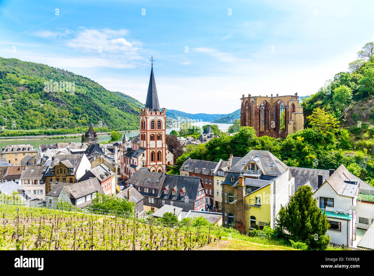 Rhine River Germany Castle Aerial High Resolution Stock Photography and ...