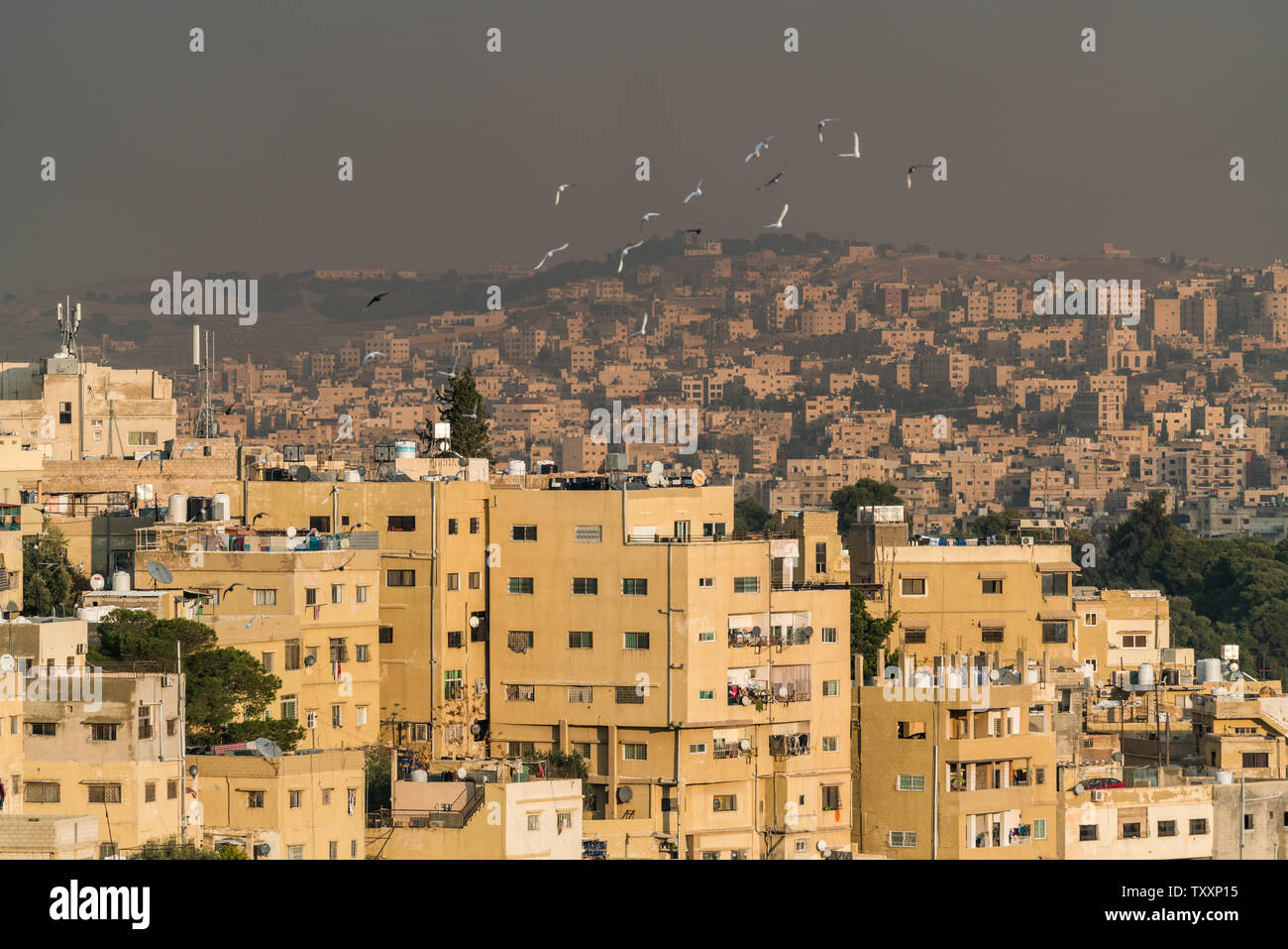 Aerial view of the Amman, Jordan Stock Photo - Alamy
