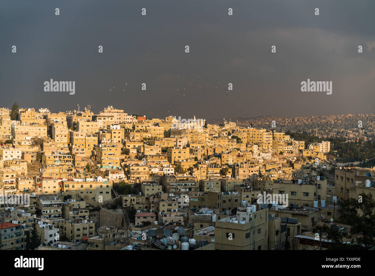 Aerial view of the Amman, Jordan Stock Photo - Alamy