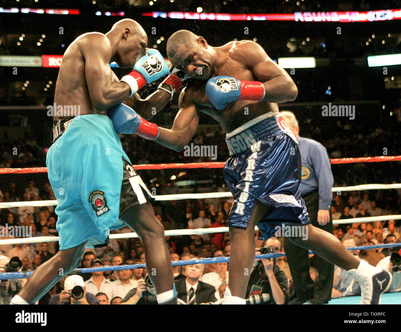 Ibf champion hi-res stock photography and images - Alamy