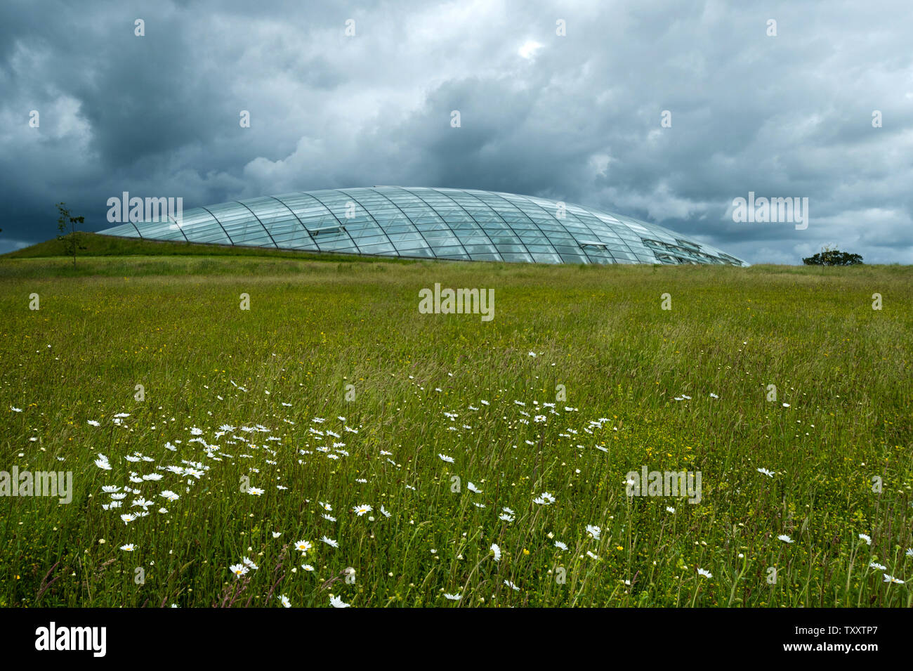 National Botanic Garden of Wales, UK Stock Photo - Alamy