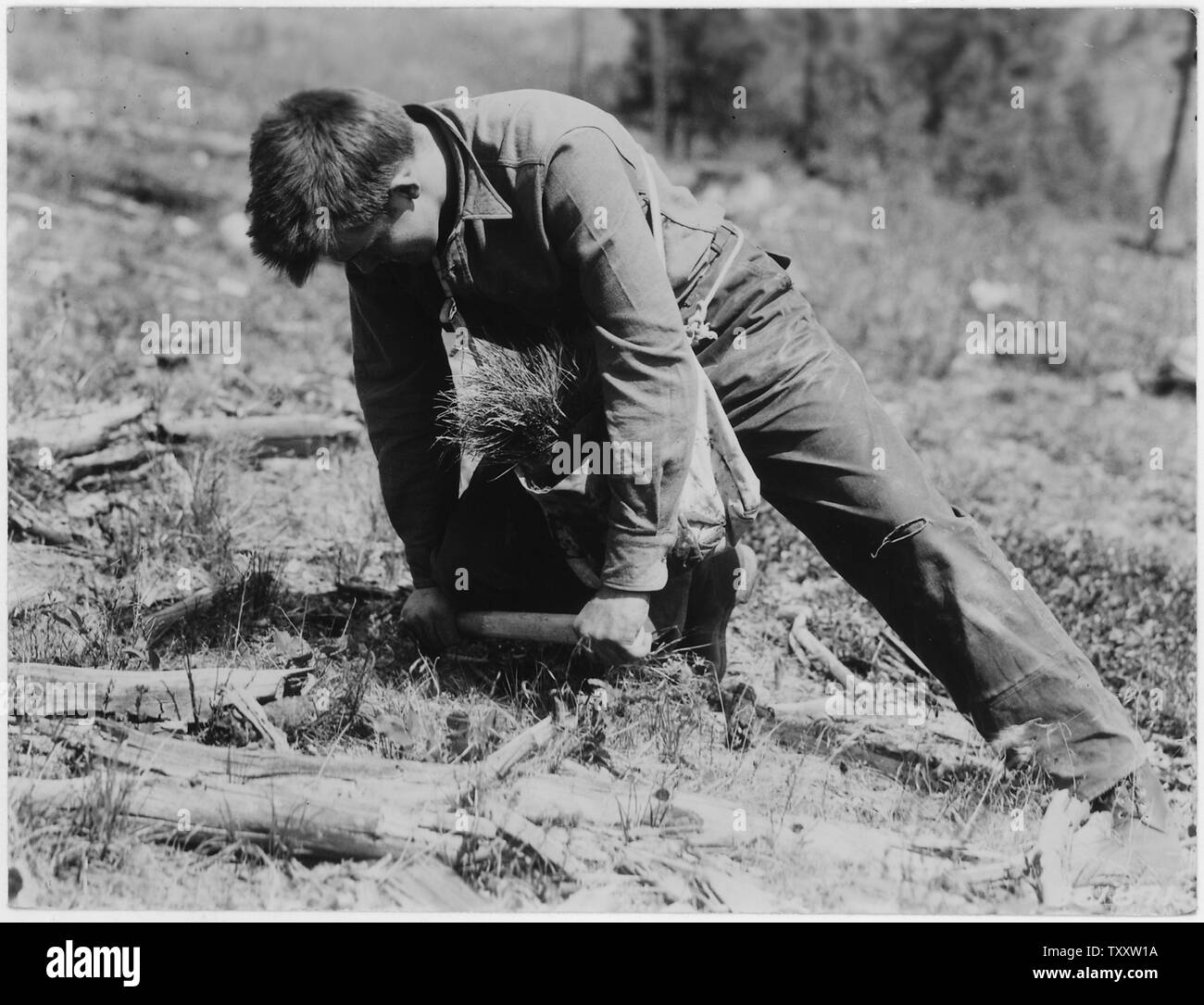 CCC enrollee planting tree Stock Photo - Alamy