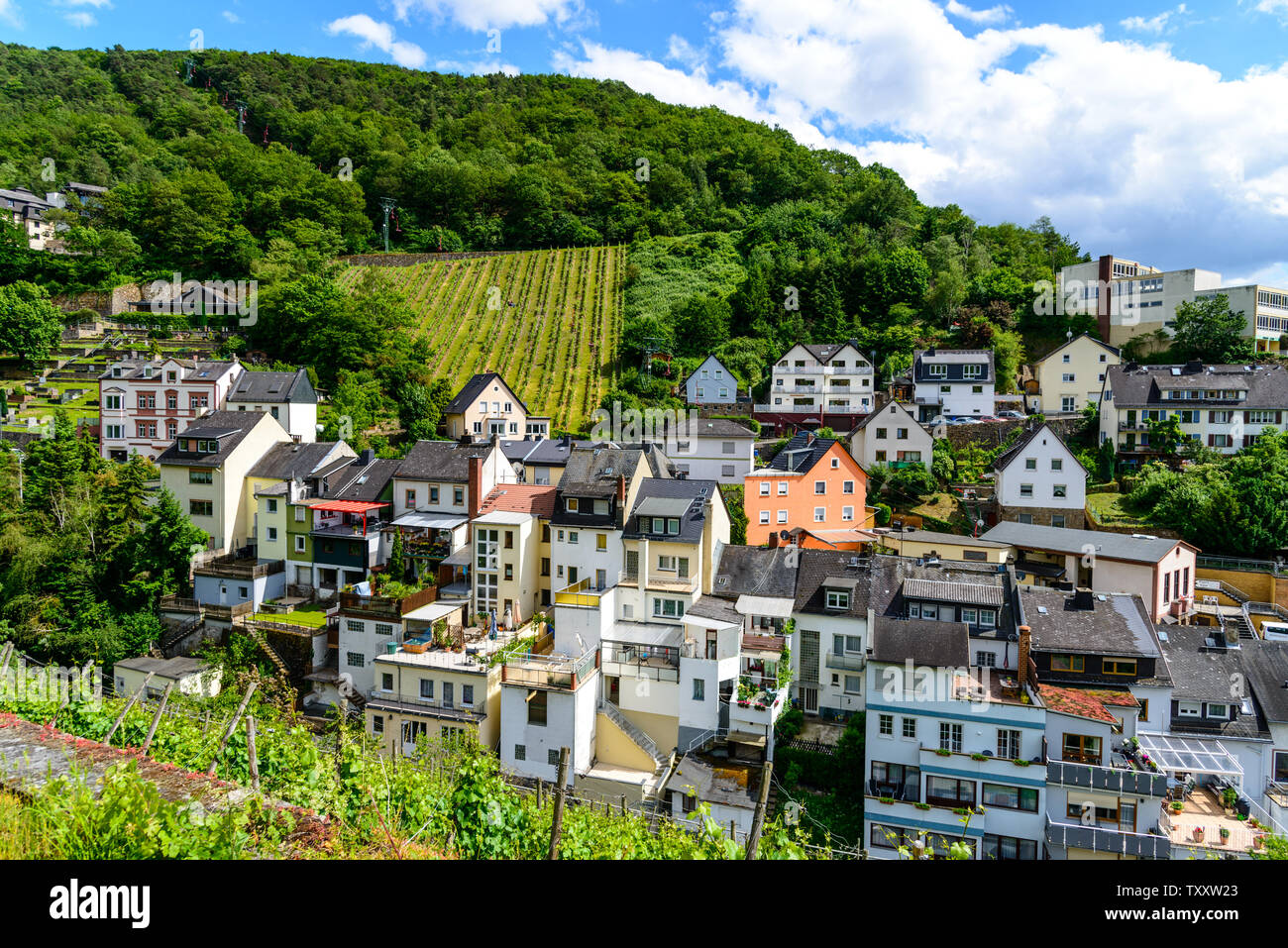 Houses by vineyard in the upper middle Rhine river valley (Mittelrhein ...