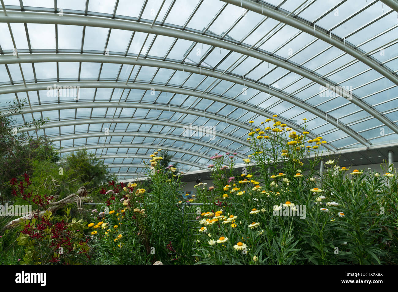 National Botanic Garden of Wales, UK Stock Photo - Alamy