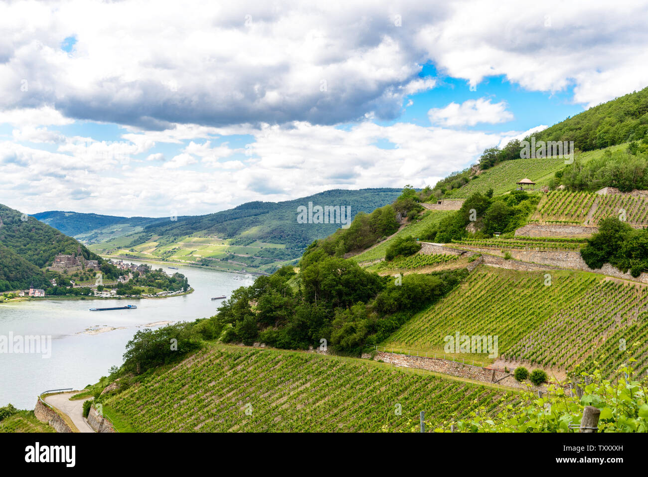 Castle Burg Reichenstein in the Upper middle Rhine river valley ...