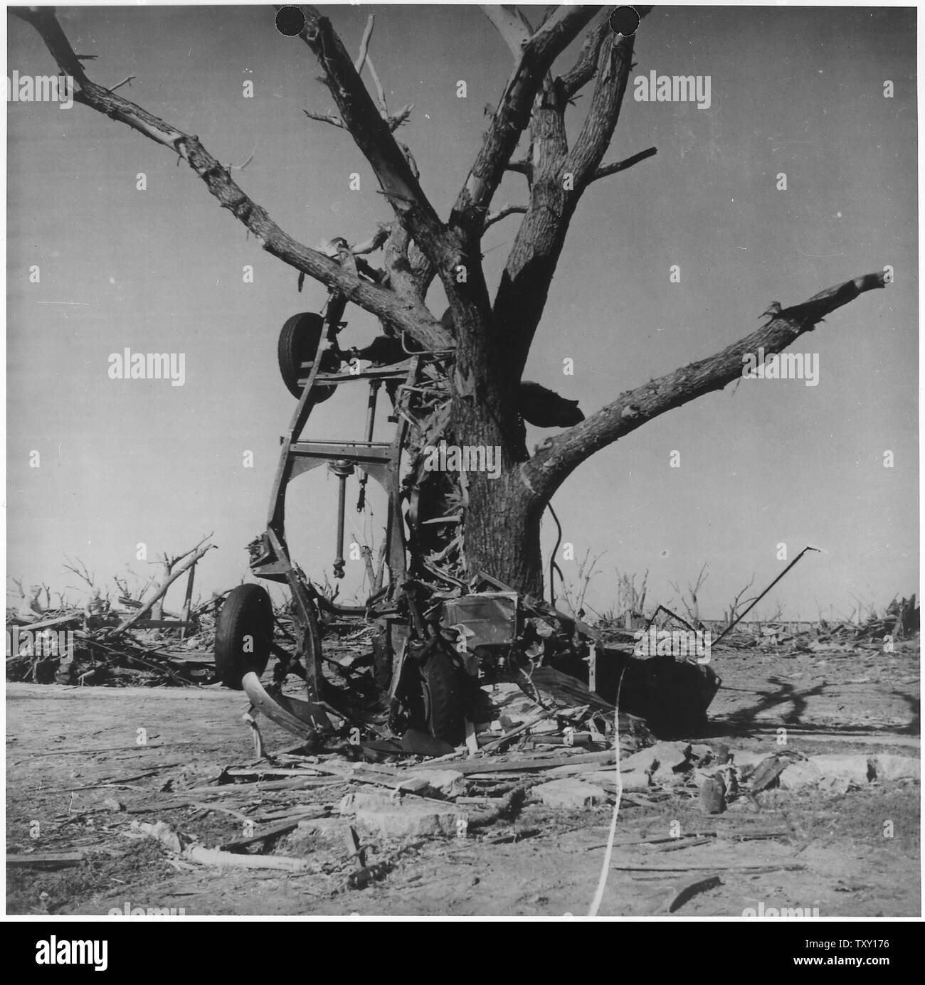 Car wrapped around large tree Black and White Stock Photos & Images - Alamy