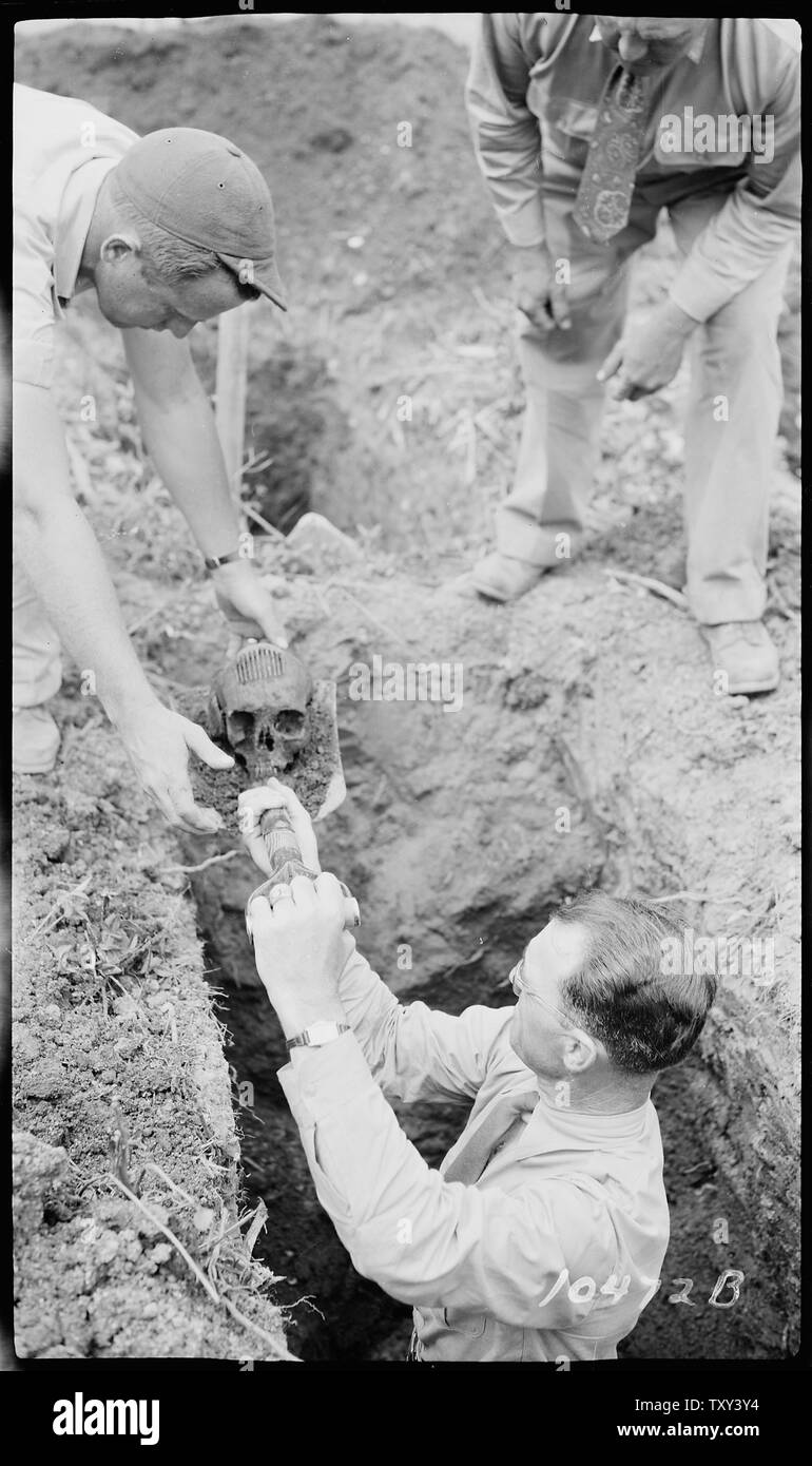 Cemetery re-location, man removing skull from a casket Stock Photo - Alamy