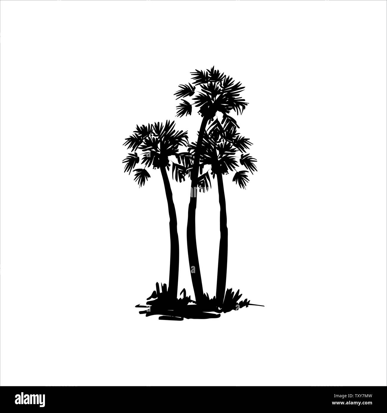 Vector hand drawn illustration of tropical palm tree Stock Vector Image ...