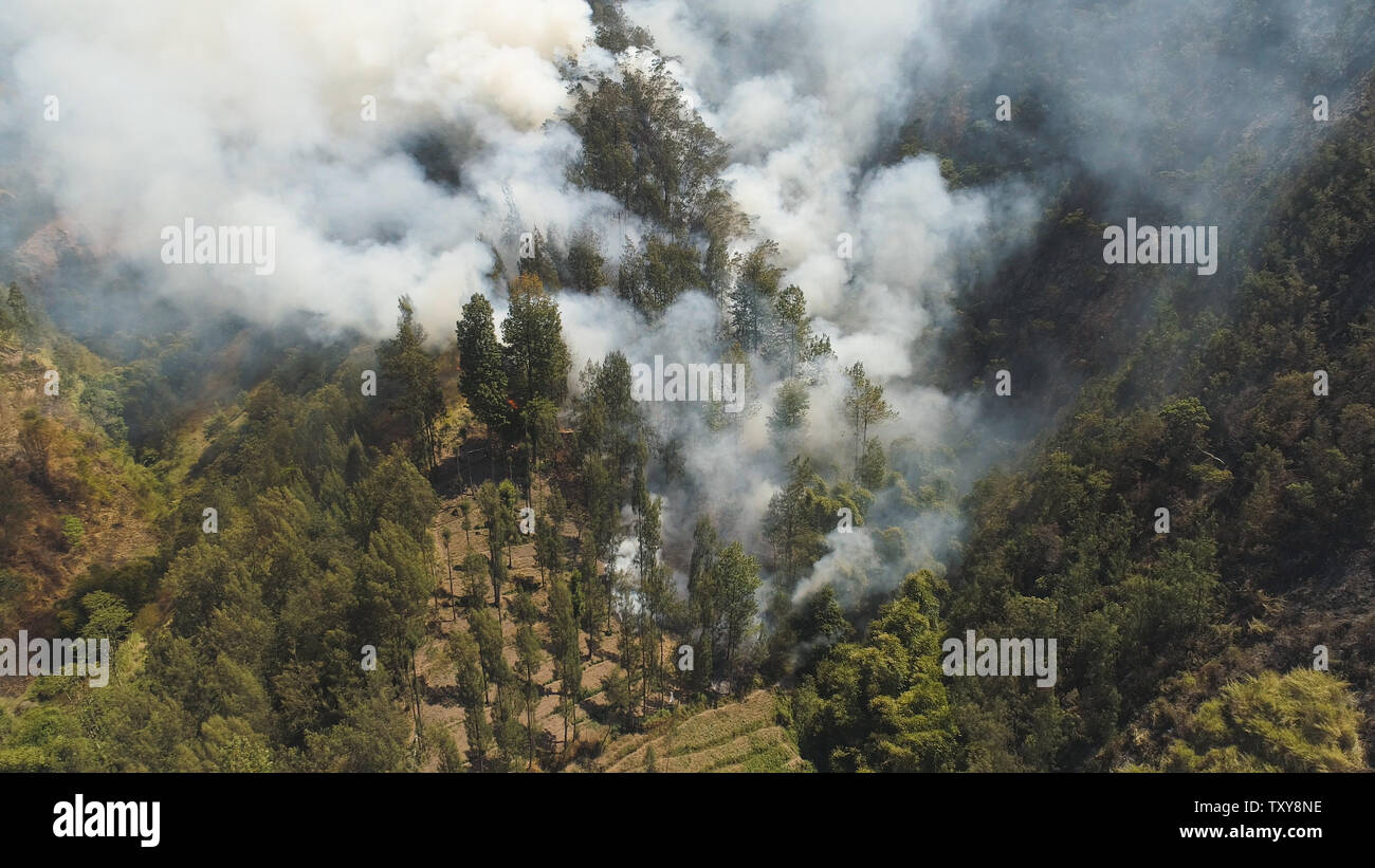 fire in mountain forest. aerial view forest fire and smoke on slopes ...