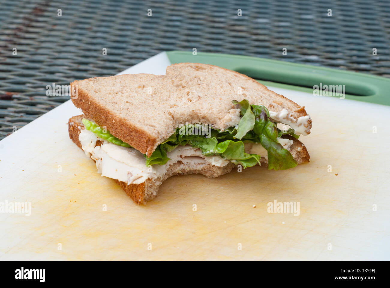 Plain Turkey Sandwich On Wheat Bread