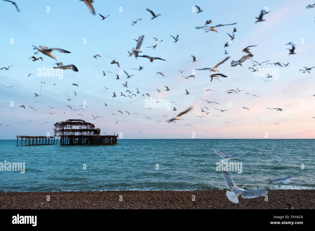 Brighton west pier hi-res stock photography and images - Alamy