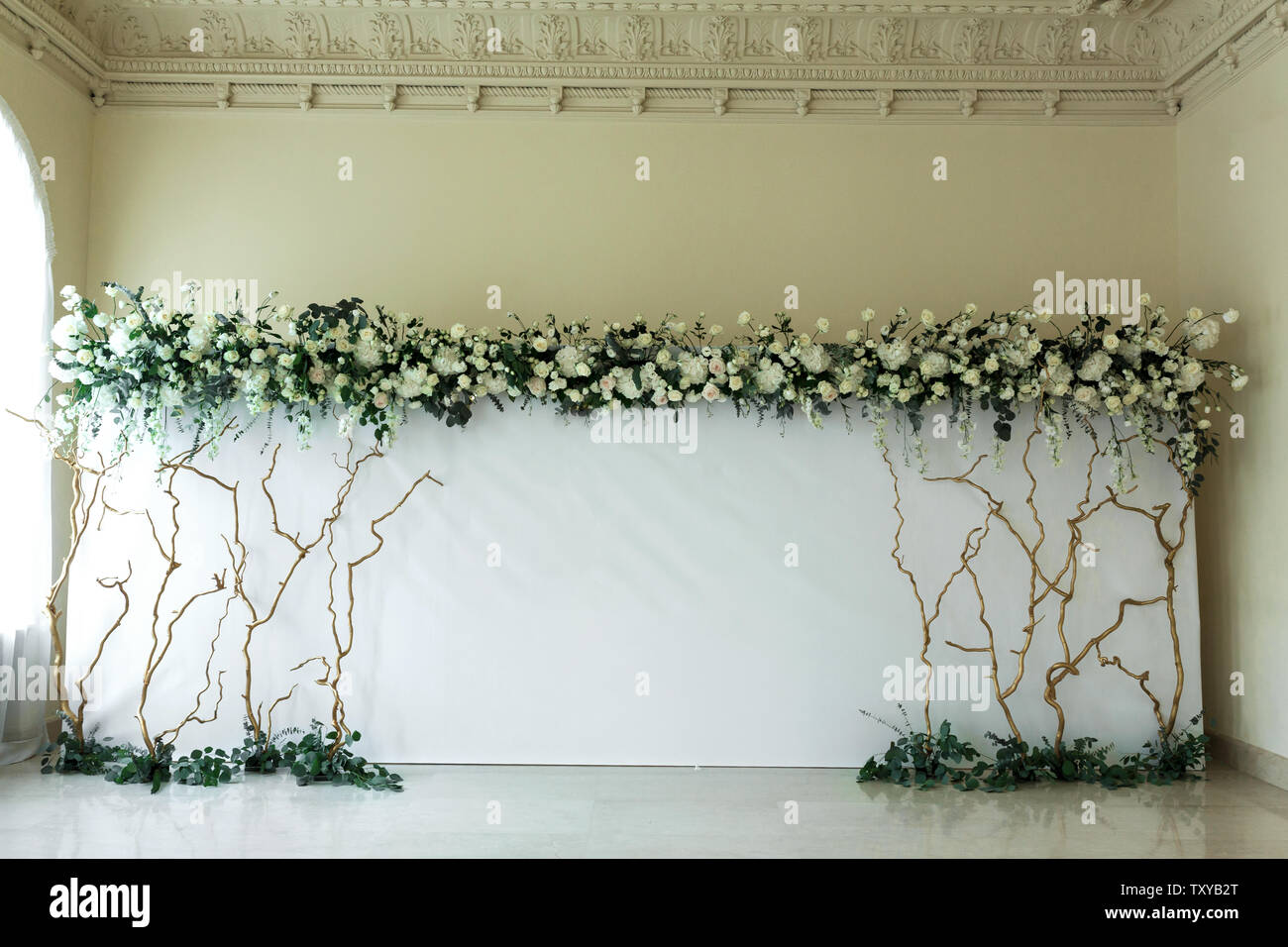 Photozone hi-res stock photography and images - Alamy