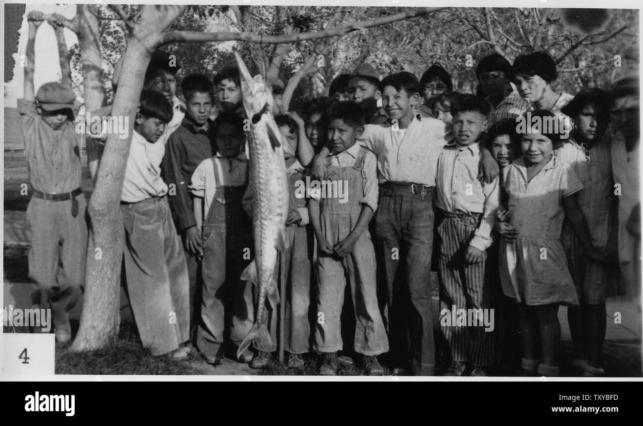 Children posed with fish [a sturgeon] hung from tree Stock Photo - Alamy