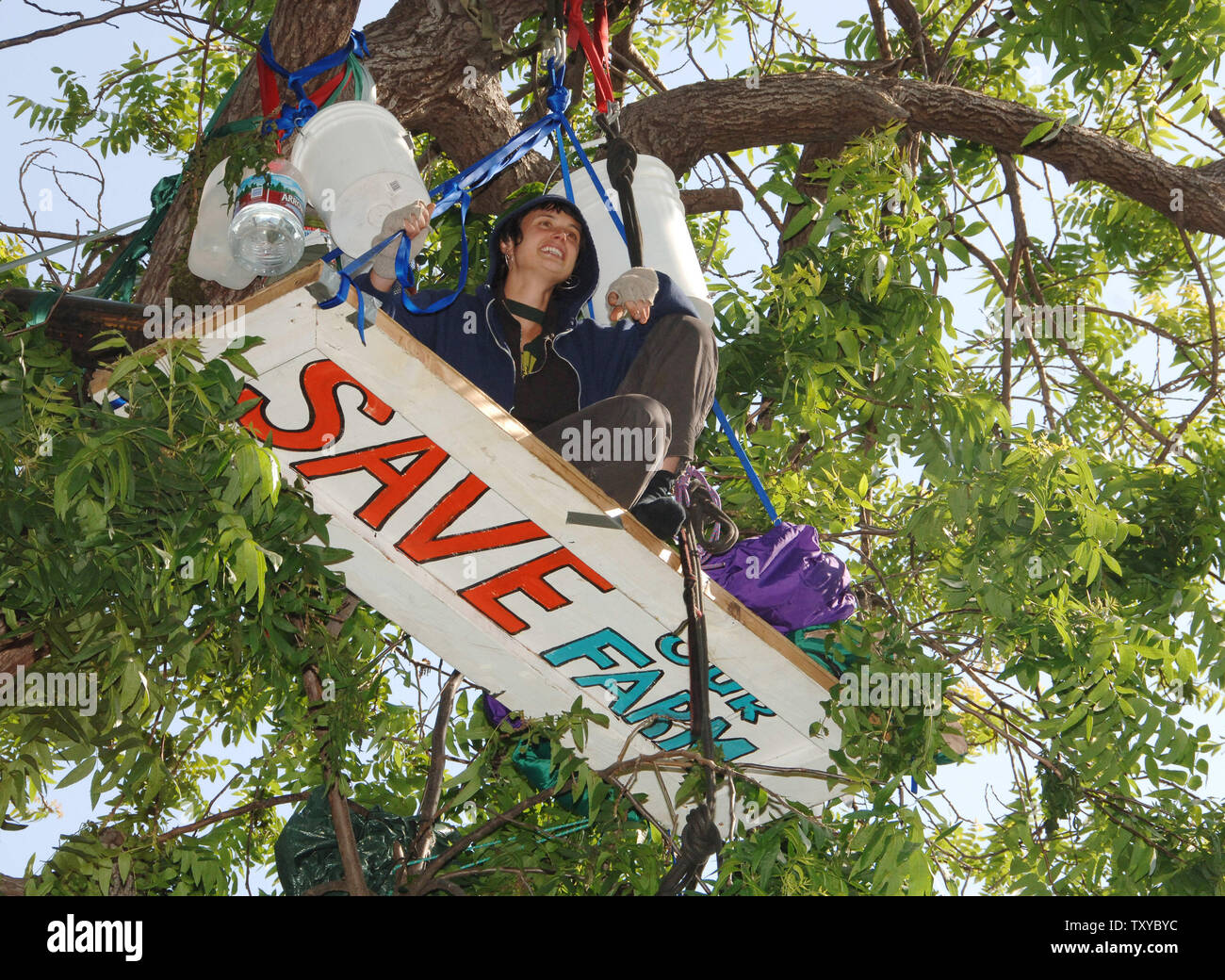 Julia Butterfly Tree