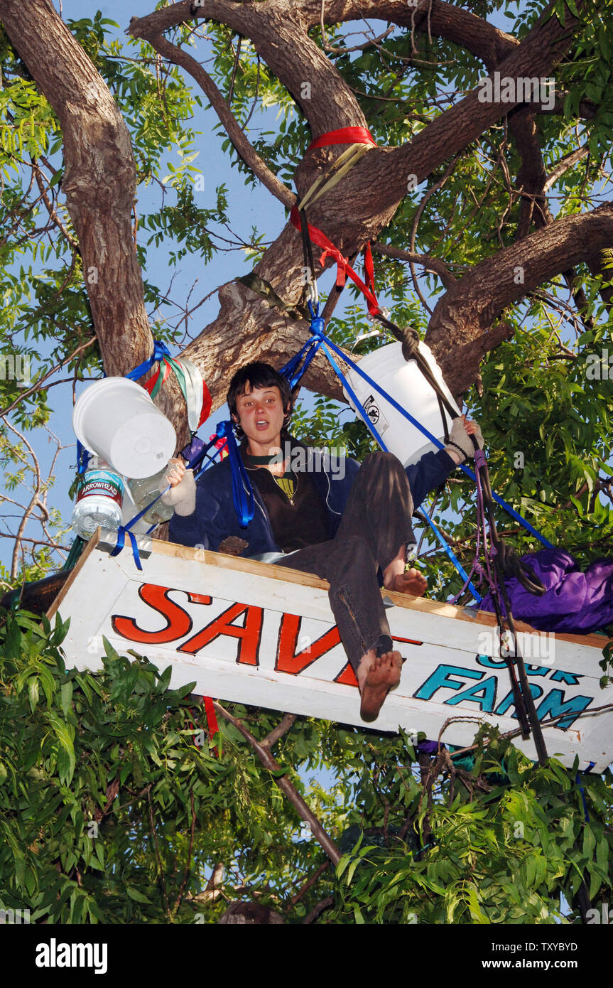 Julia Butterfly Tree