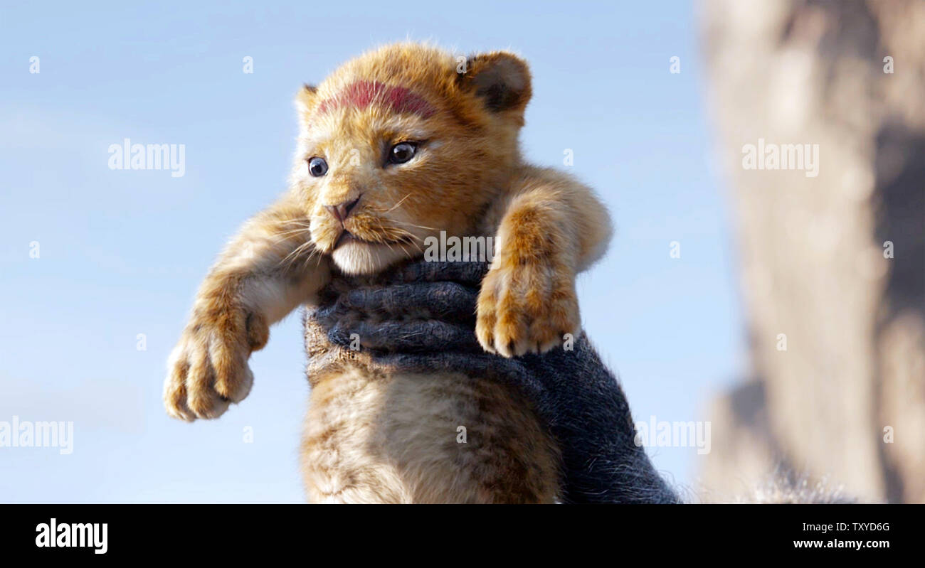 USA. A scene from the ©Walt Disney Studios new movie : The Lion King ...