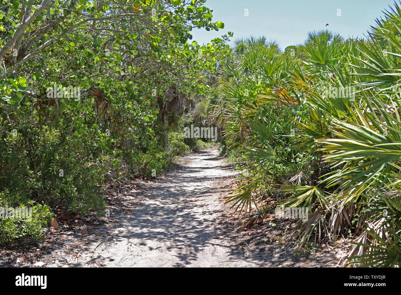 Sandy nature trail hi-res stock photography and images - Alamy