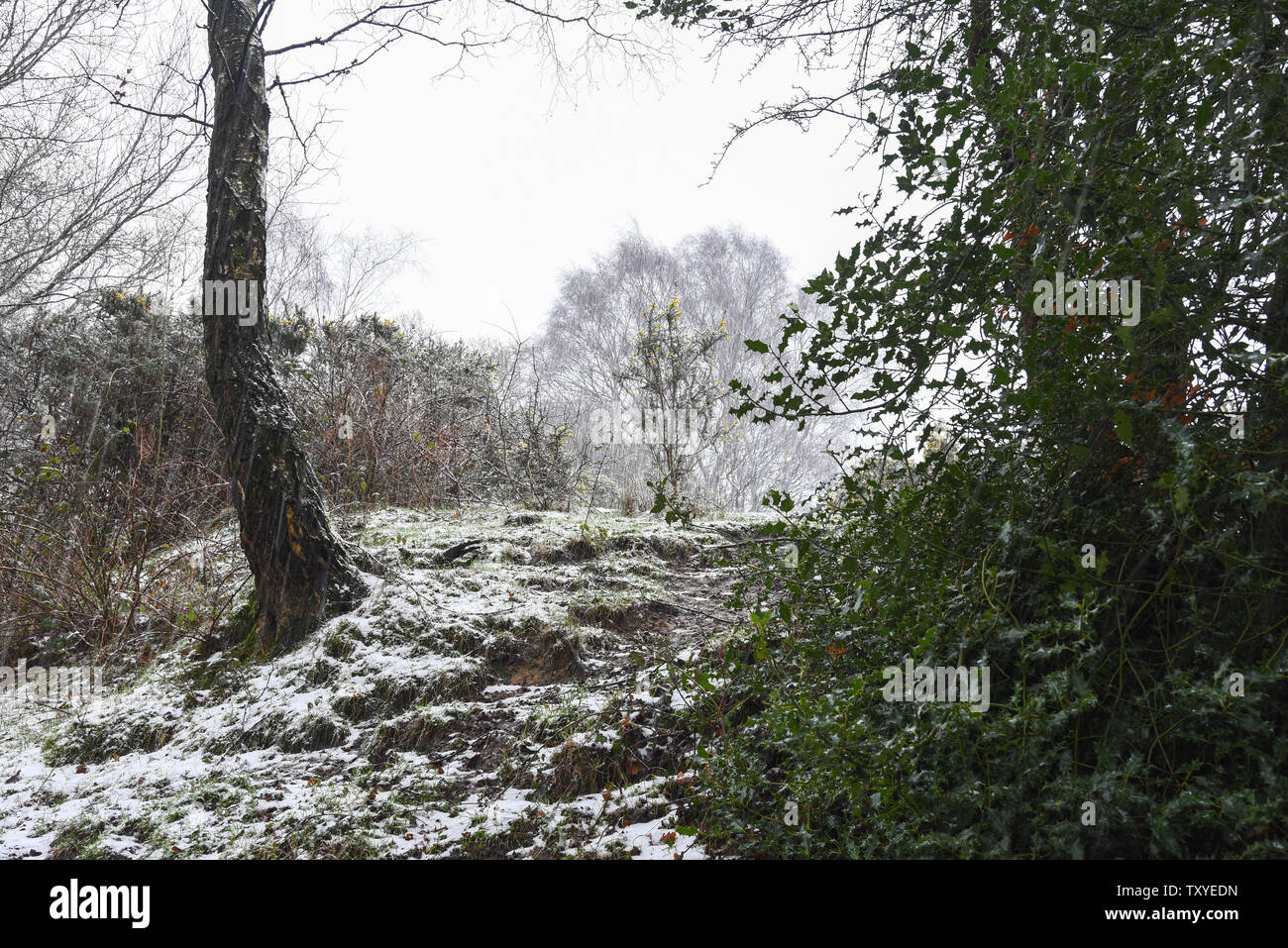 Winter scene in lancashire hi-res stock photography and images - Alamy