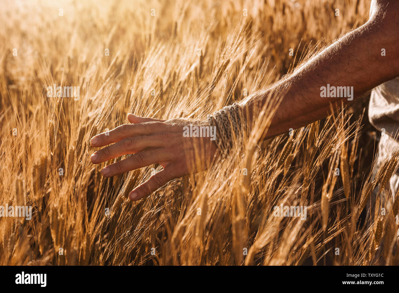 Hand of the farmer hi-res stock photography and images - Alamy