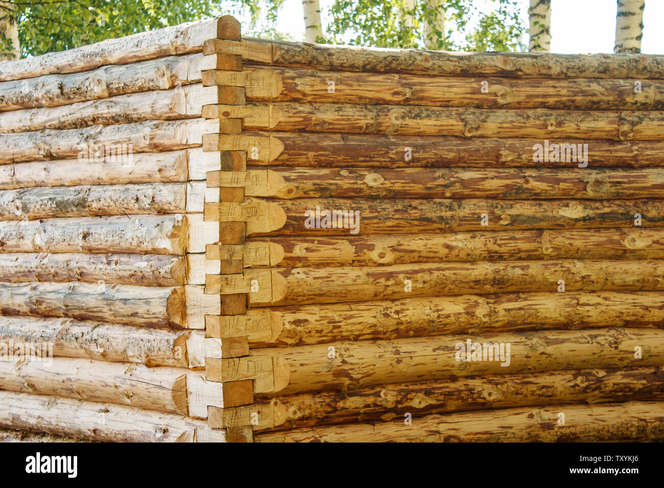 Siberia log cabin hi-res stock photography and images - Alamy