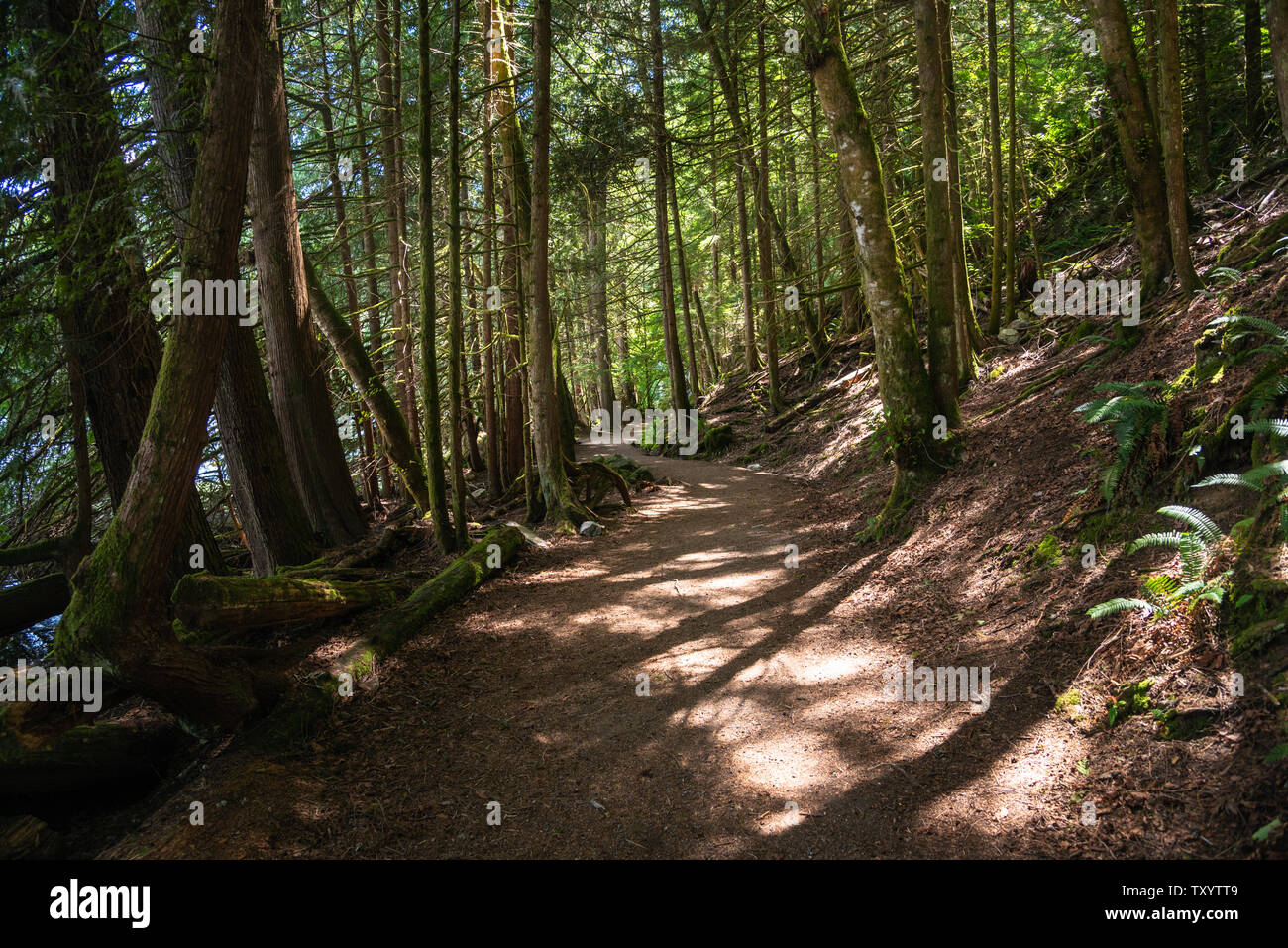 Exploration nature pathway hi-res stock photography and images - Alamy