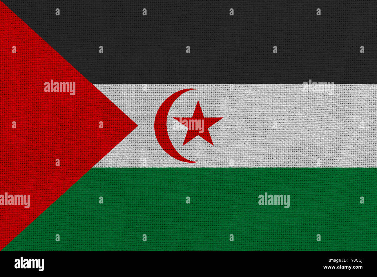 Sahrawi Arab Democratic Republic fabric flag. Patriotic background ...