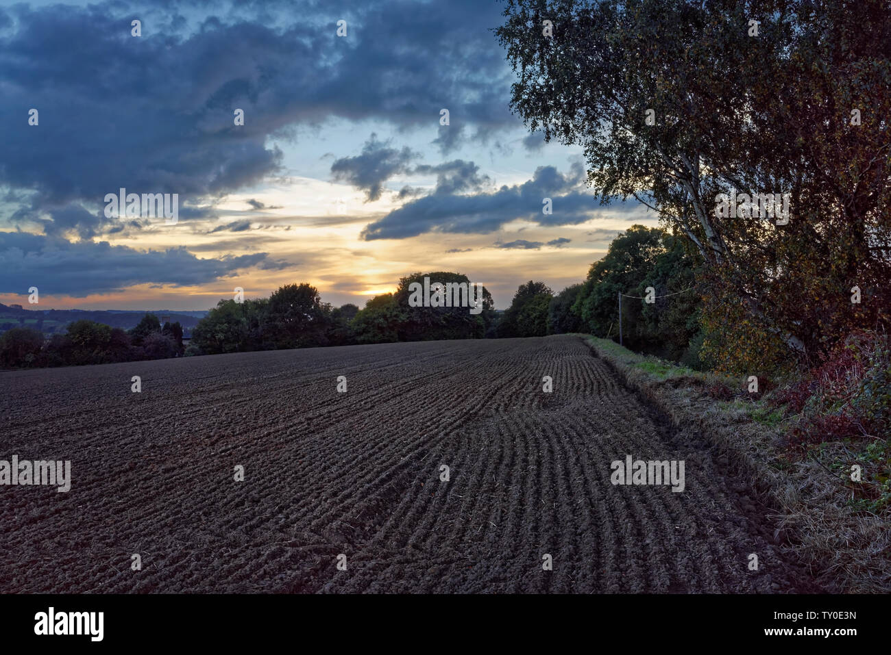 Dowlish hi-res stock photography and images - Alamy