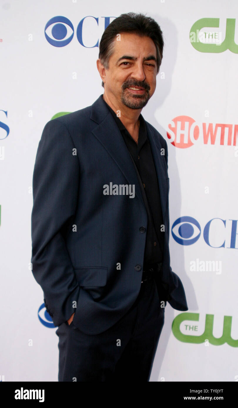 Actor Joe Mantegna attends the CBS, CW and Showtime press tour party in ...