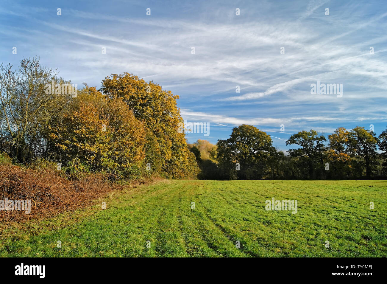 UK,Somerset,Field around Chard Reservoir & Nature Reserve Stock Photo ...